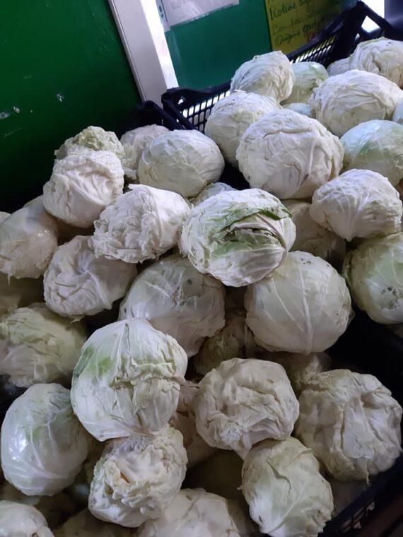 Choux pommé - FRECINETTE Fruits & Légumes