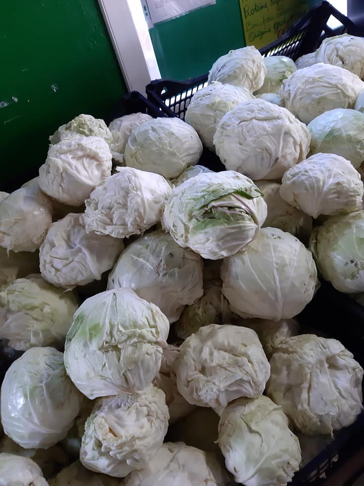Choux pommé - FRECINETTE Fruits & Légumes