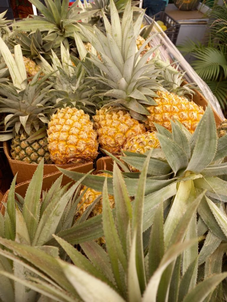 Ananas Victoria - FRECINETTE Fruits & Légumes